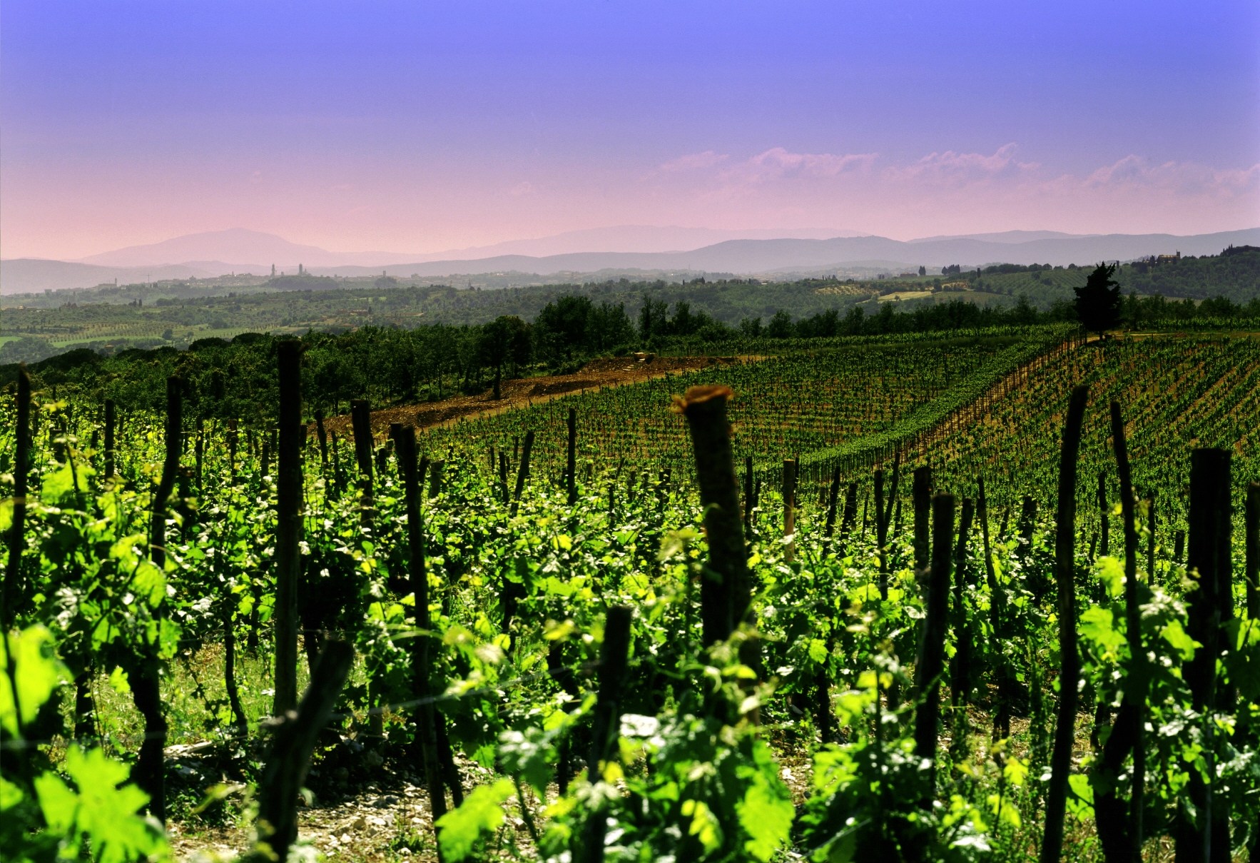 Private Full Day Tour to Franciacorta wineries with private luxury vehicle