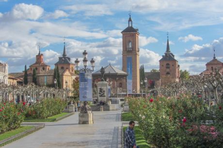 ️ Madrid Private Tours | Tour Travel and More